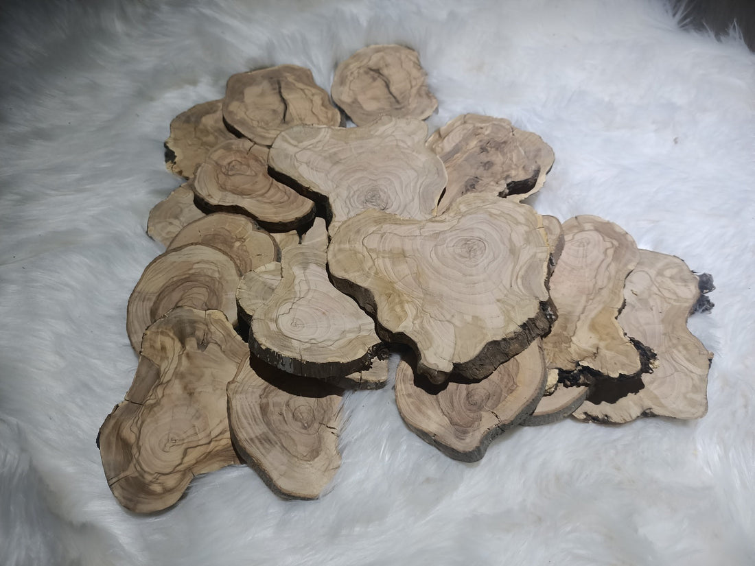 Circle Olive Wood Slabs from Tree Branches for DIY – Carpenter of Nature