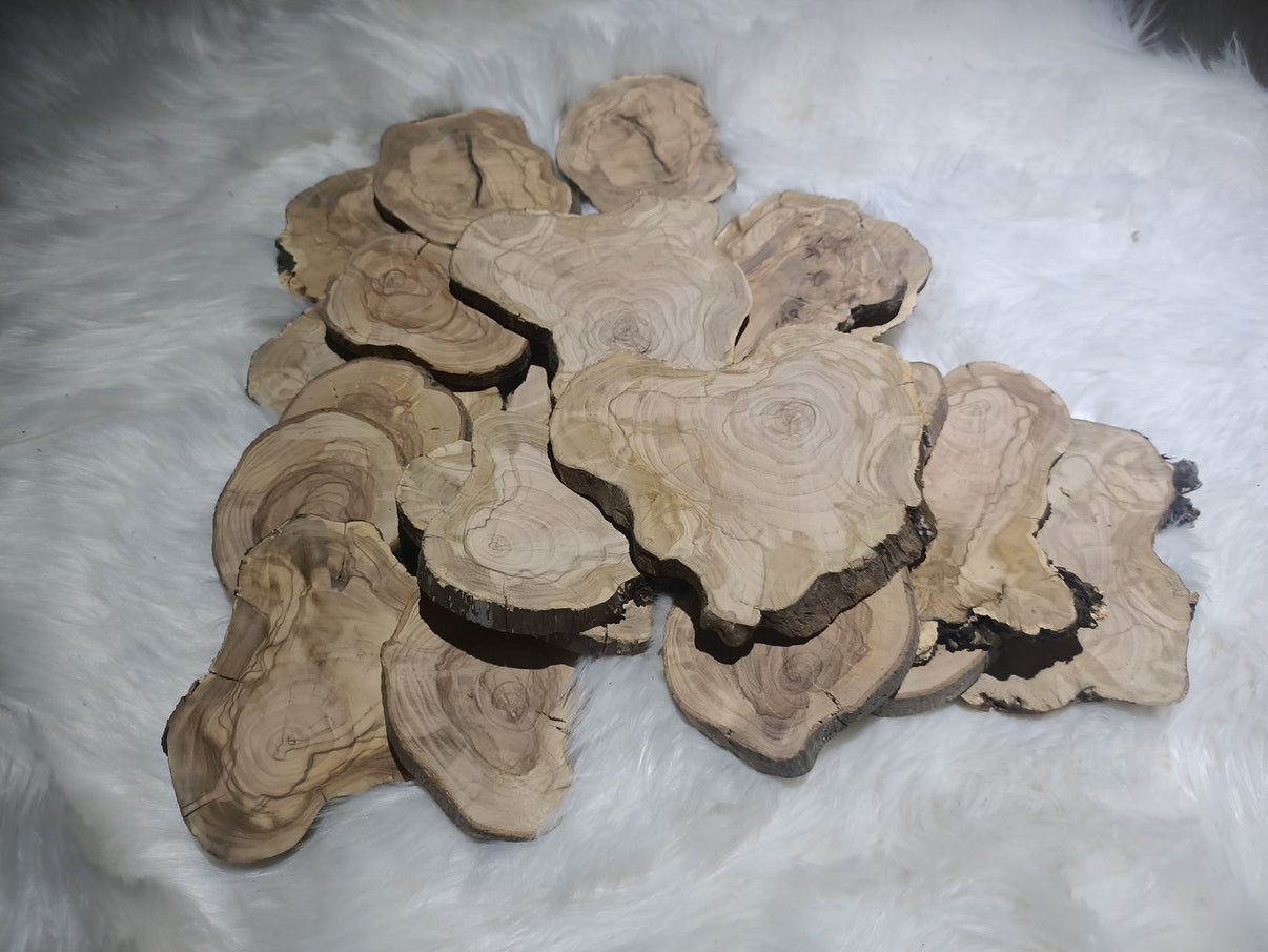 Circle Olive Wood Slabs from Tree Branches for DIY – Carpenter of Nature