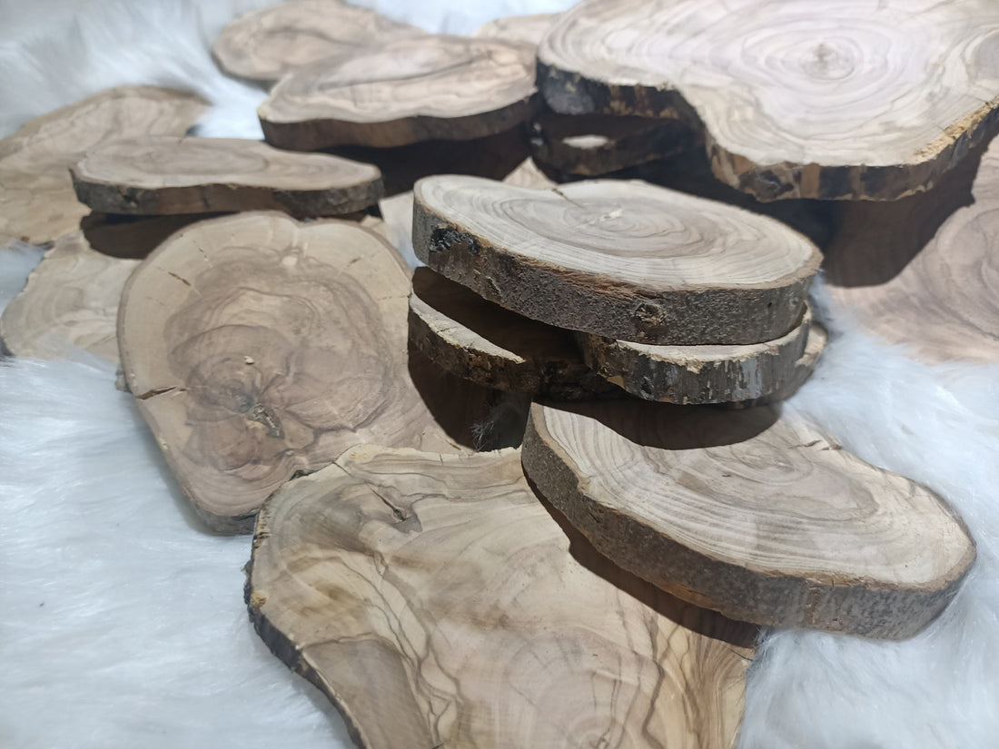 Circle Olive Wood Slabs from Tree Branches for DIY – Carpenter of Nature