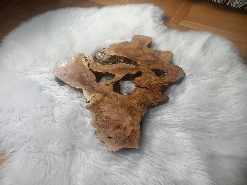 Olive Root Slab for DIY and Epoxy Table 16"-20" – Carpenter of Nature