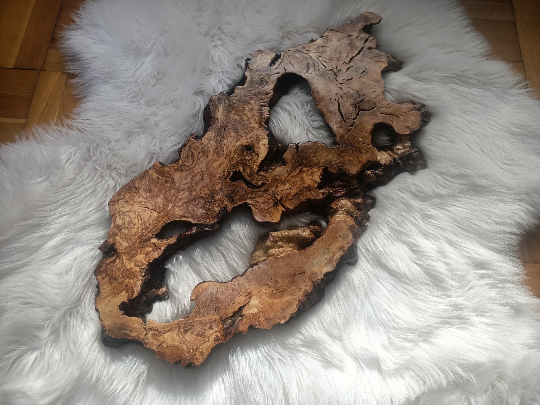 Olive Root Slab for DIY and Epoxy Table 16"-20" – Carpenter of Nature