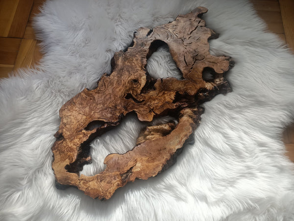 Olive Root Slab for DIY and Epoxy Table 16"-20" – Carpenter of Nature