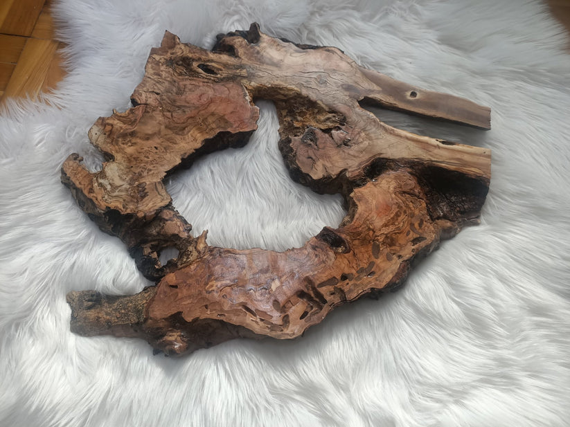 Olive Root Slab for DIY and Epoxy Table 16"-20" – Carpenter of Nature