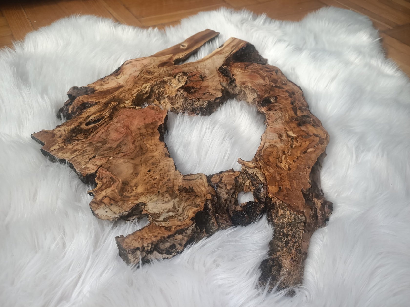 Olive Root Slab for DIY and Epoxy Table 16"-20" – Carpenter of Nature