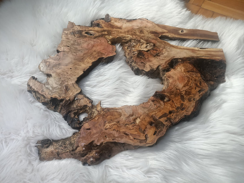 Olive Root Slab for DIY and Epoxy Table 16"-20" – Carpenter of Nature